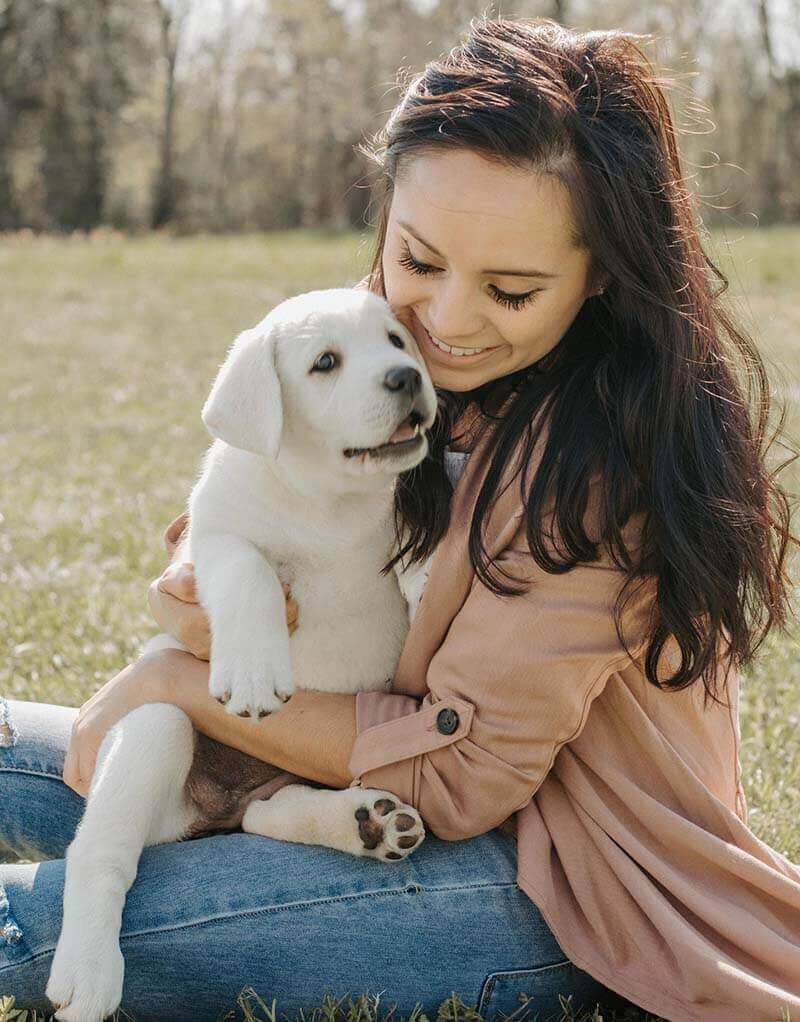 Service Dogs – Companion Assistance Dogs