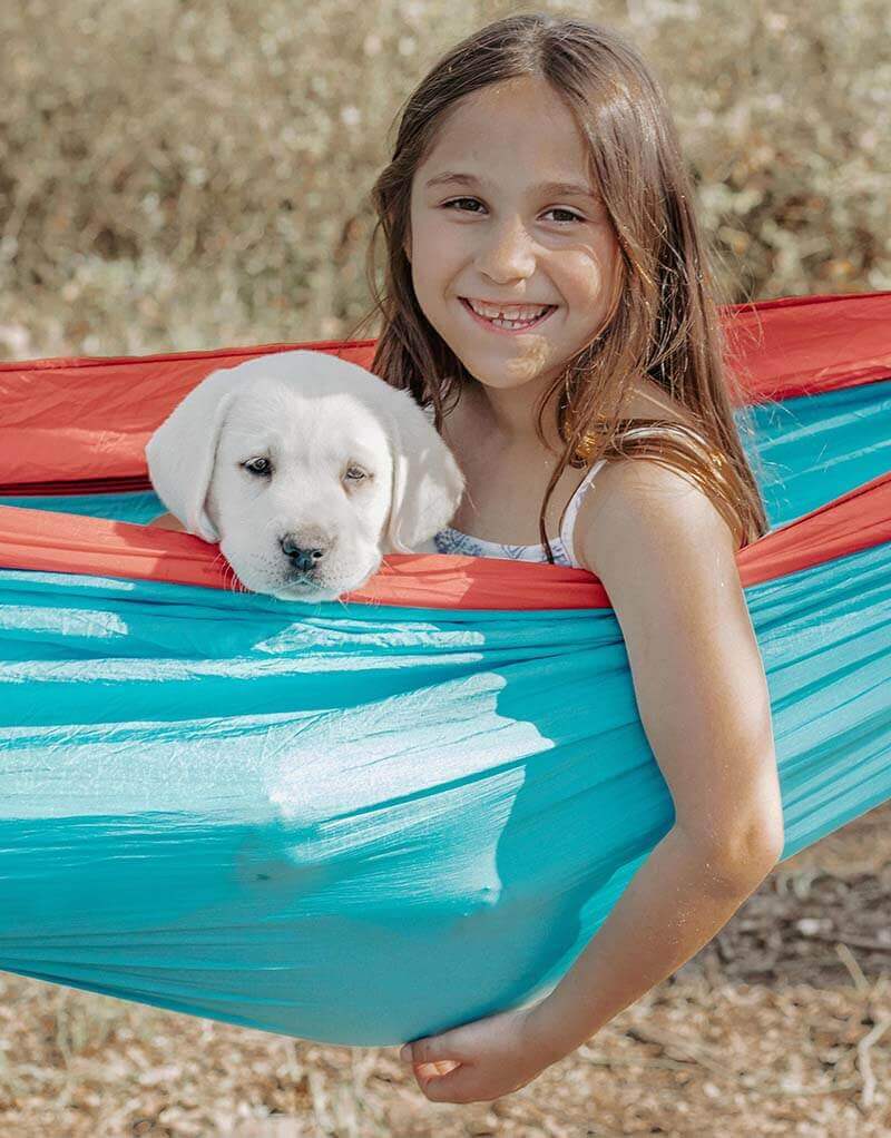 Service Dogs – Companion Assistance Dogs